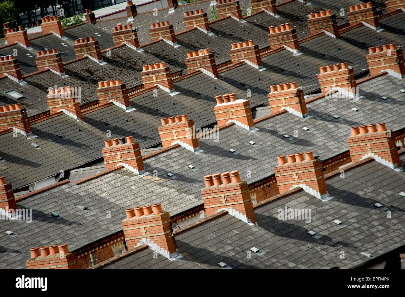 slate roof tops on Victorian terraced houses Stock Photo - Alamy
