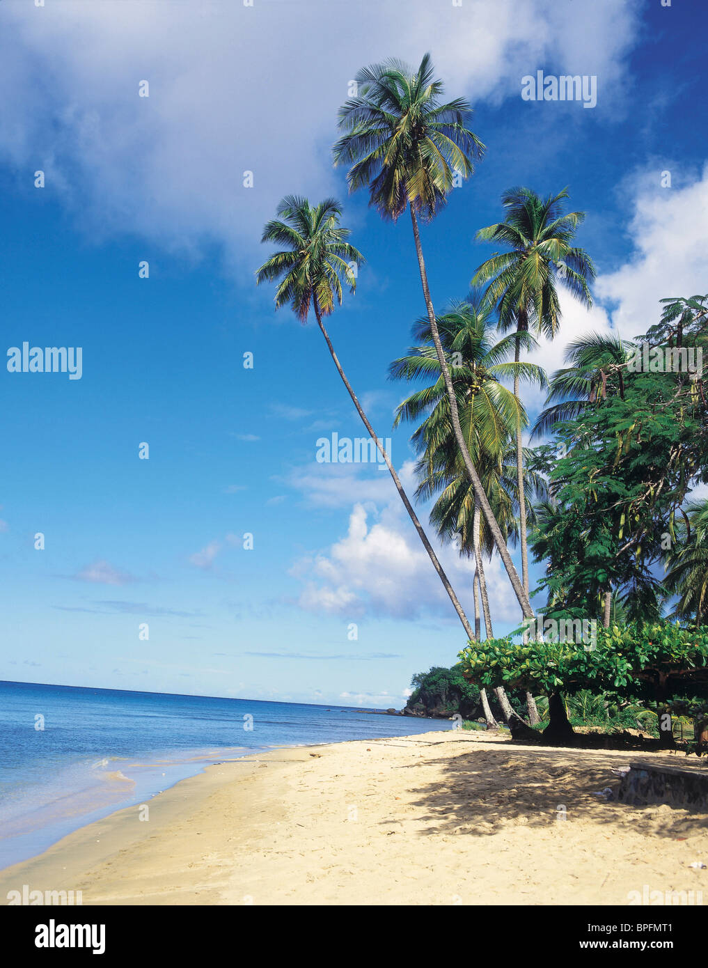 Irvine bay hi-res stock photography and images - Alamy