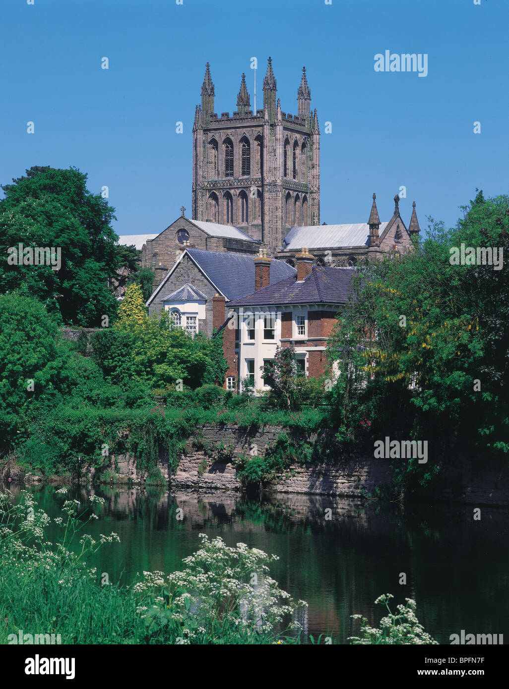 The hereford hi-res stock photography and images - Alamy