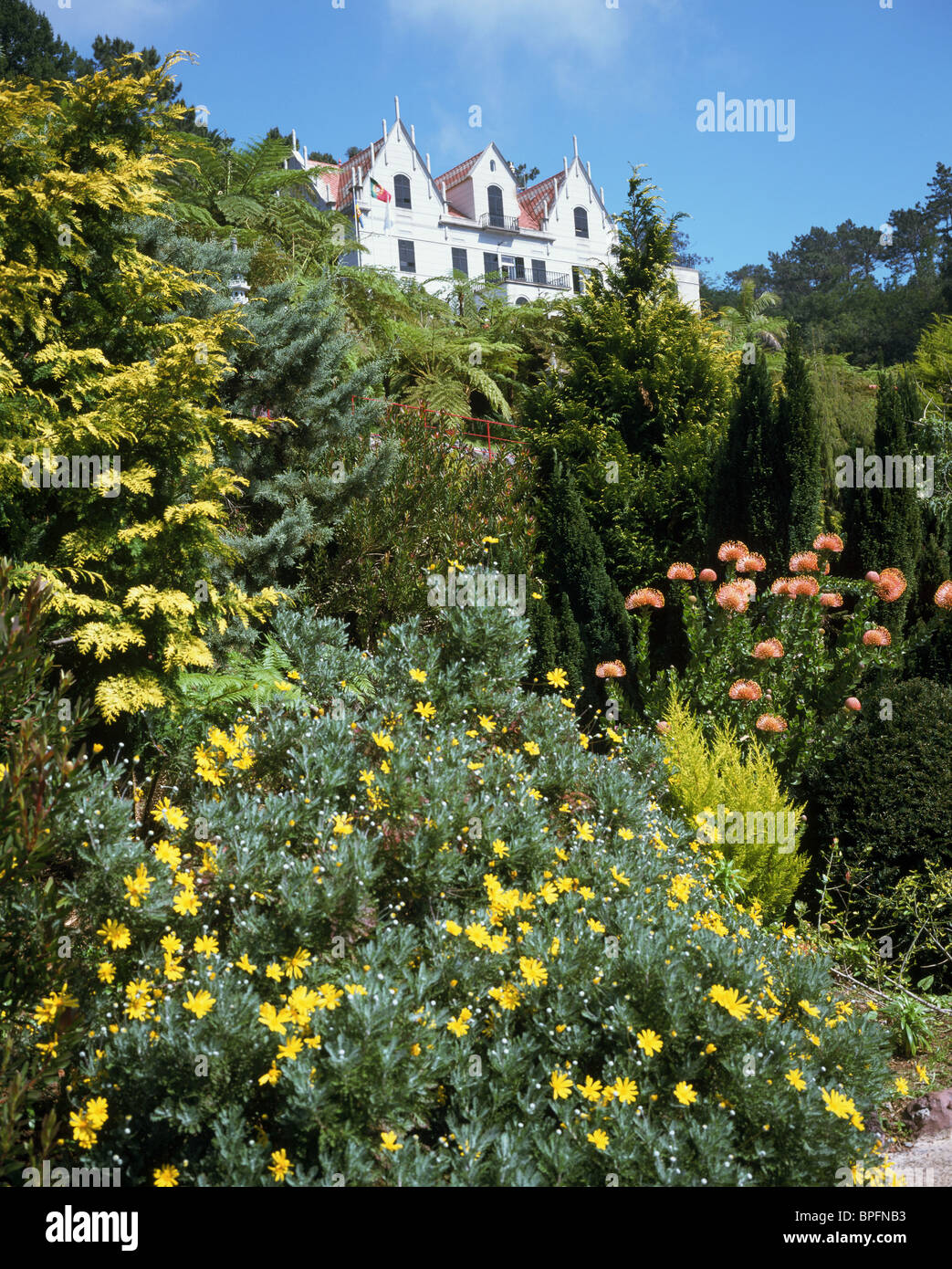 Monte Palace Gardens, Madeira Stock Photo - Alamy