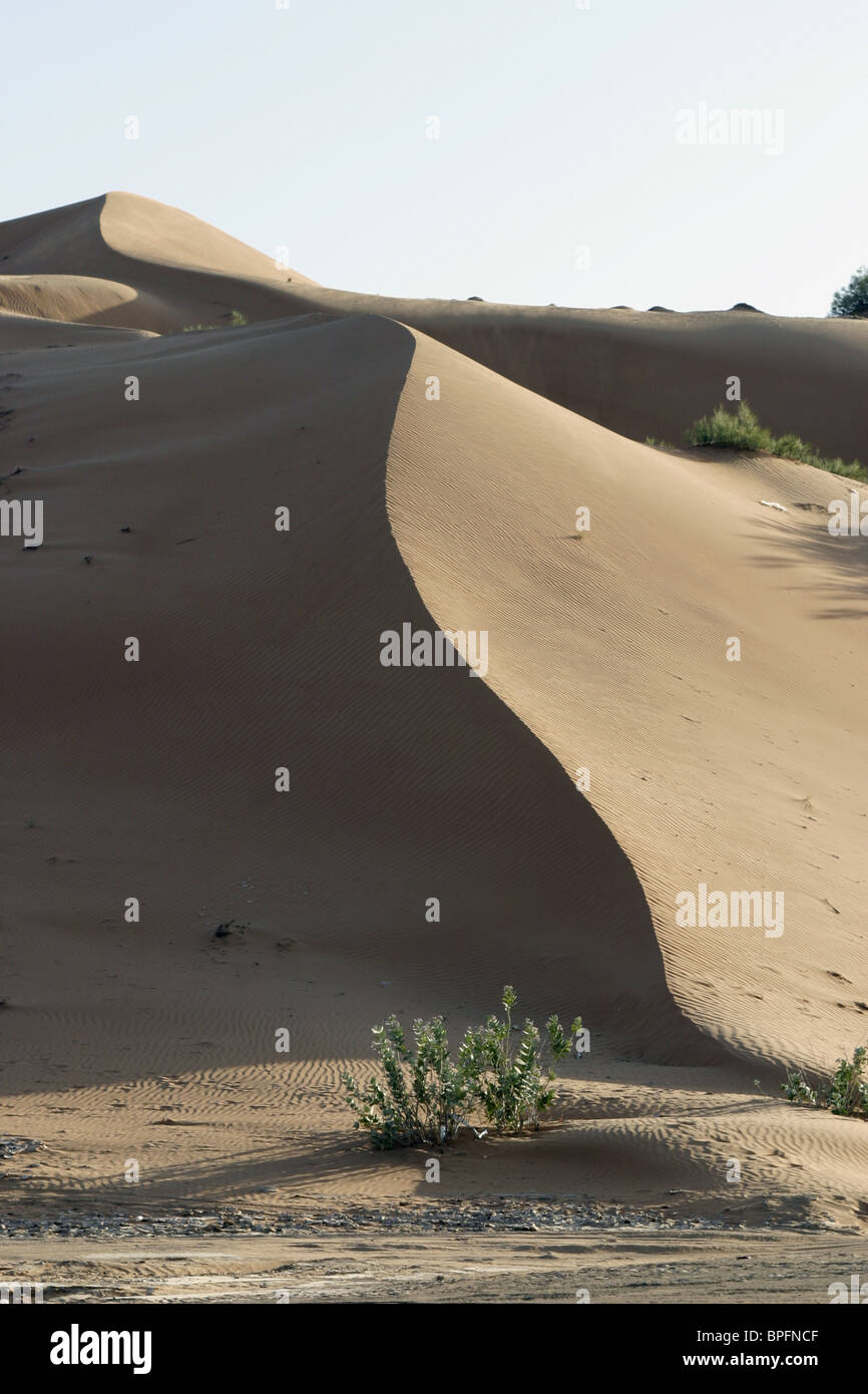 Sand Dunes, Oman Stock Photo - Alamy