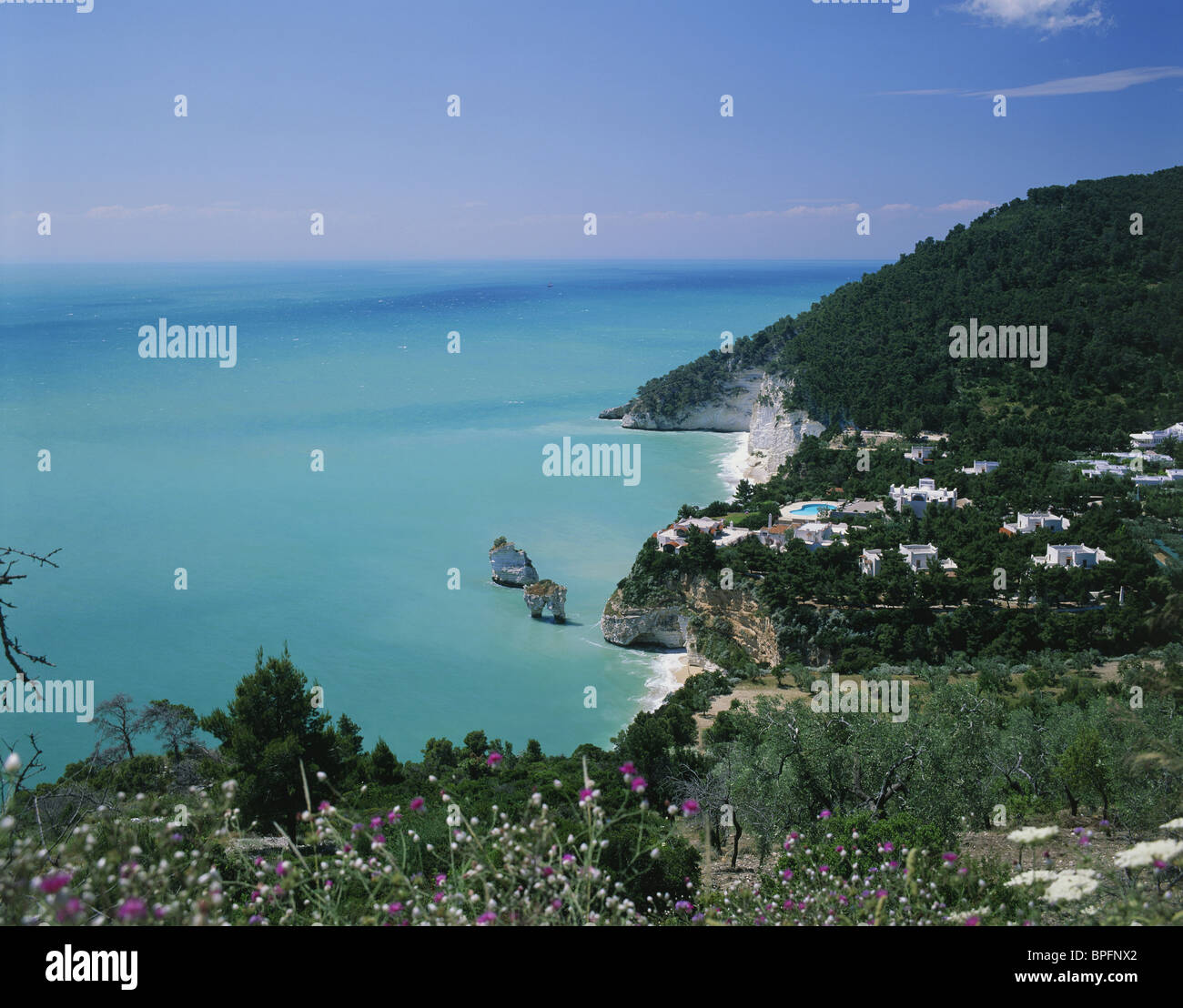 Gargano Promontory, Apulia, Italy Stock Photo - Alamy