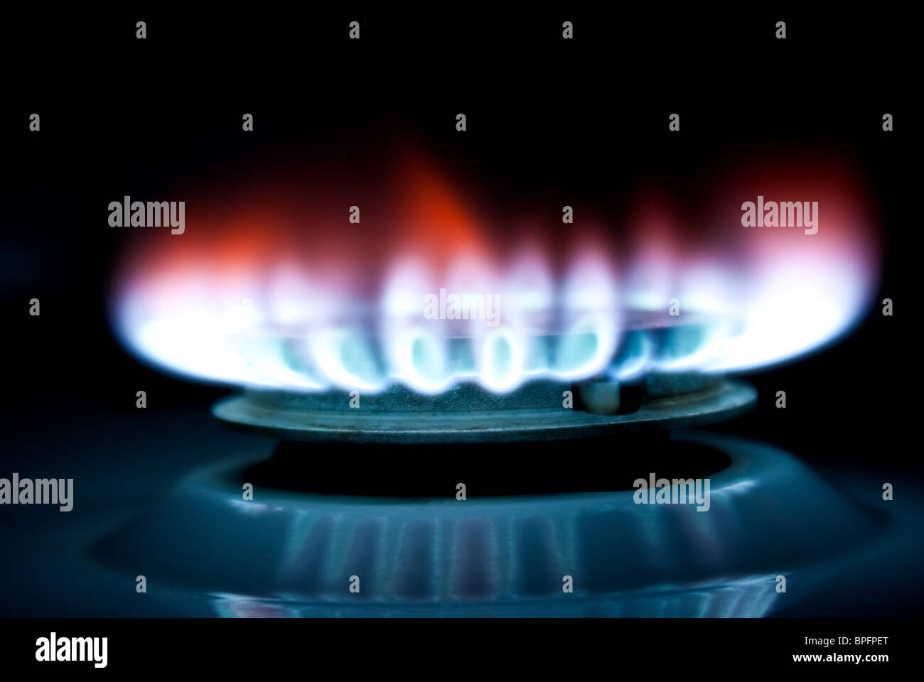 Flame of A gas Cooker Stock Photo - Alamy