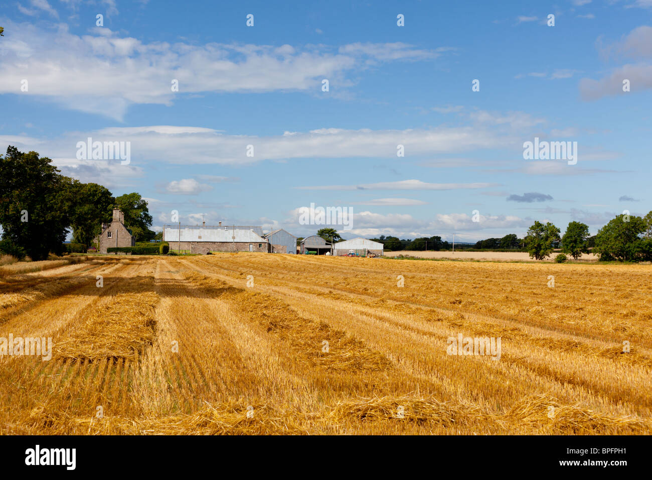 A newly harvested wheat field with farmers cottages in the distance ...