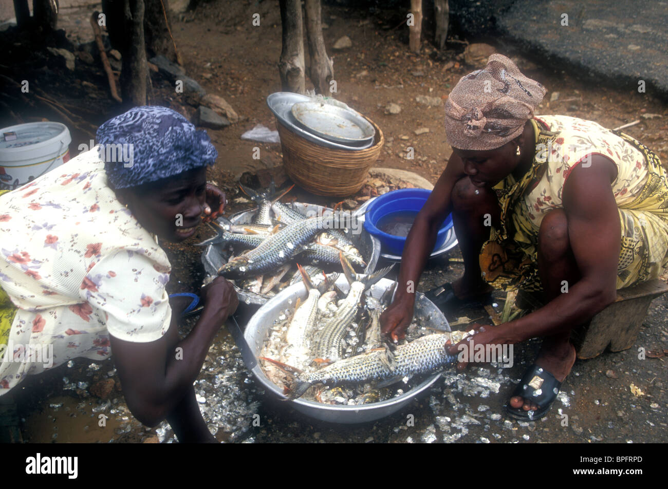 Lake Volta Fish