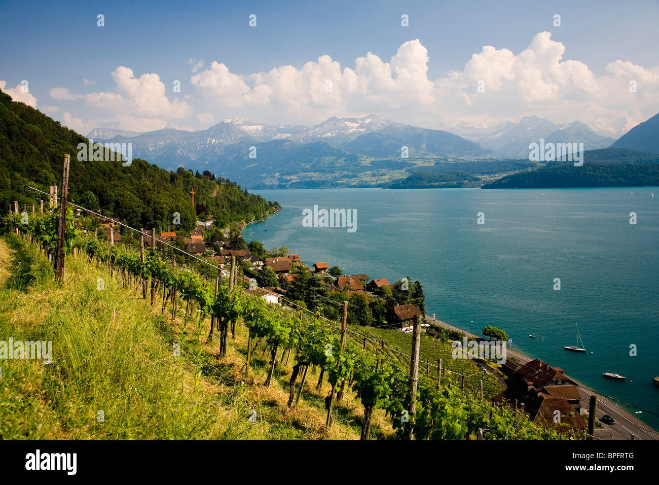Gunten hi-res stock photography and images - Alamy