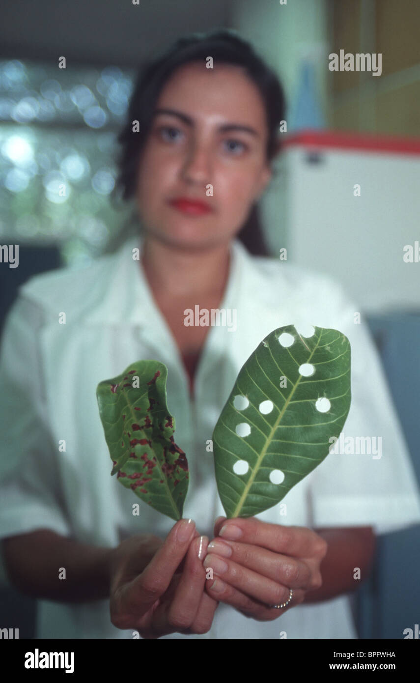 BRAZIL SCIENTISTS DOING BIOMEDICAL AND BOTANICAL RESEARCH AT THE ...