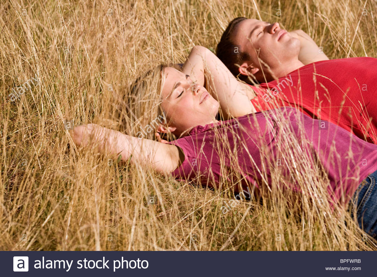 Laying In Sun Stock Photos & Laying In Sun Stock Images - Alamy