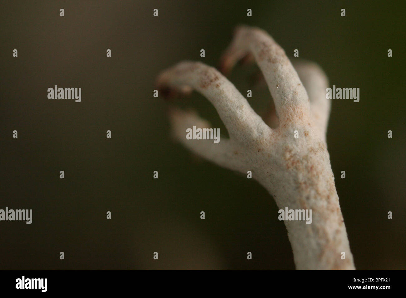 Human like figure hi-res stock photography and images - Alamy