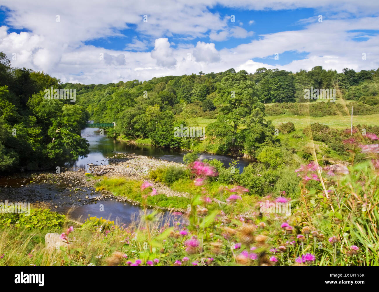 The River Tees near the village of Cotherstone, Teesdale, County Durham ...