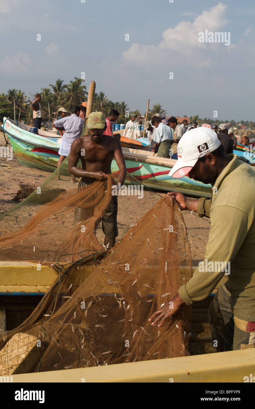 sri lankan fisher taking fish from is net, negombo Stock Photo - Alamy