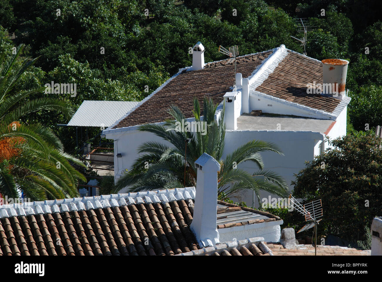 Village houses, whitewashed village (pueblo blanco), Jorox, Malaga ...