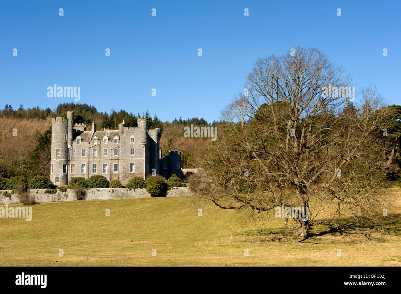 Castlewellan Forest Park,Co Down, Northern Ireland Stock Photo - Alamy