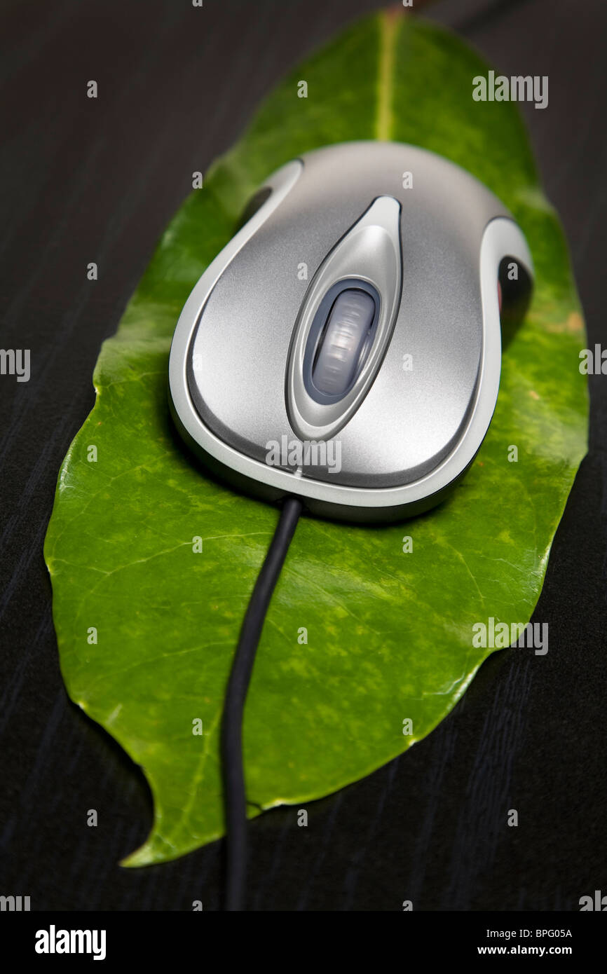 Computer mouse on a leaf Stock Photo - Alamy