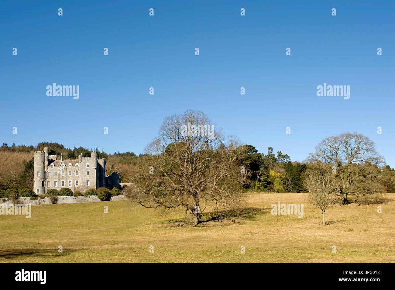 Castlewellan Forest Park,Co Down, Northern Ireland Stock Photo - Alamy