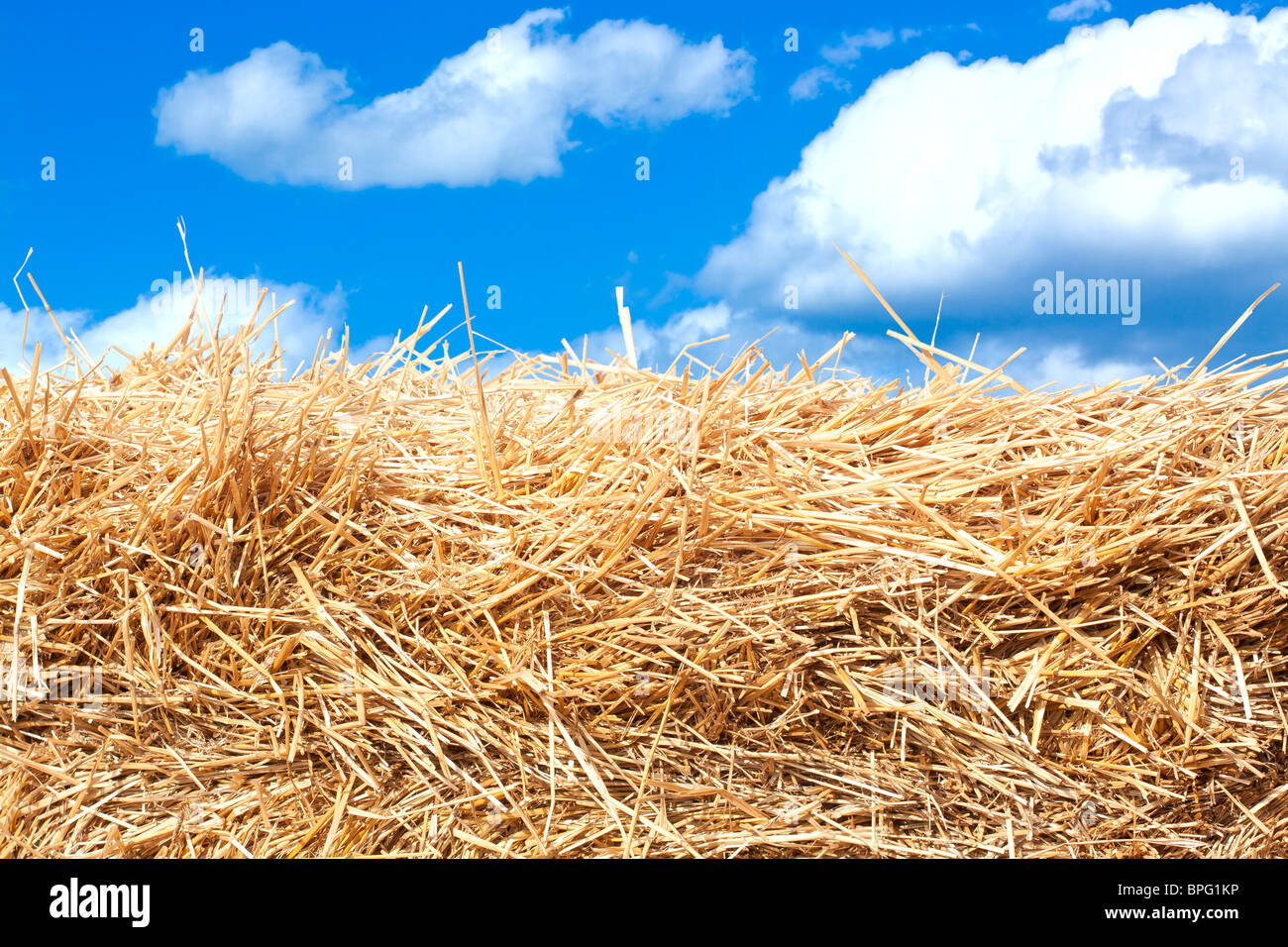 Closeup golden hay roll hi-res stock photography and images - Alamy