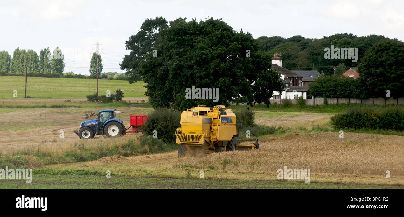 Harvesting the last field, in between the bad weather Stock Photo - Alamy