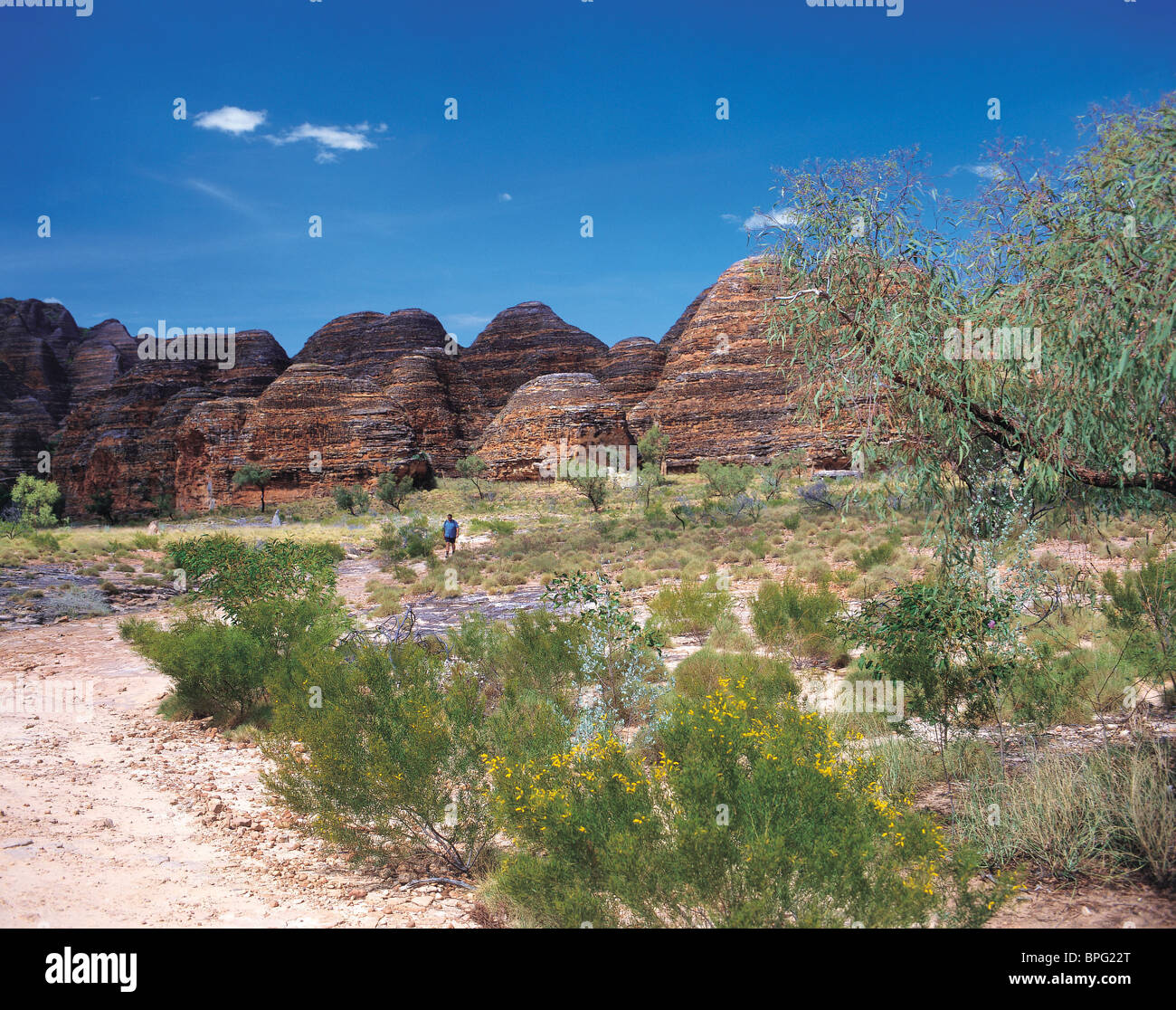 Bungle Bungles, W. Australia, Australia Stock Photo - Alamy