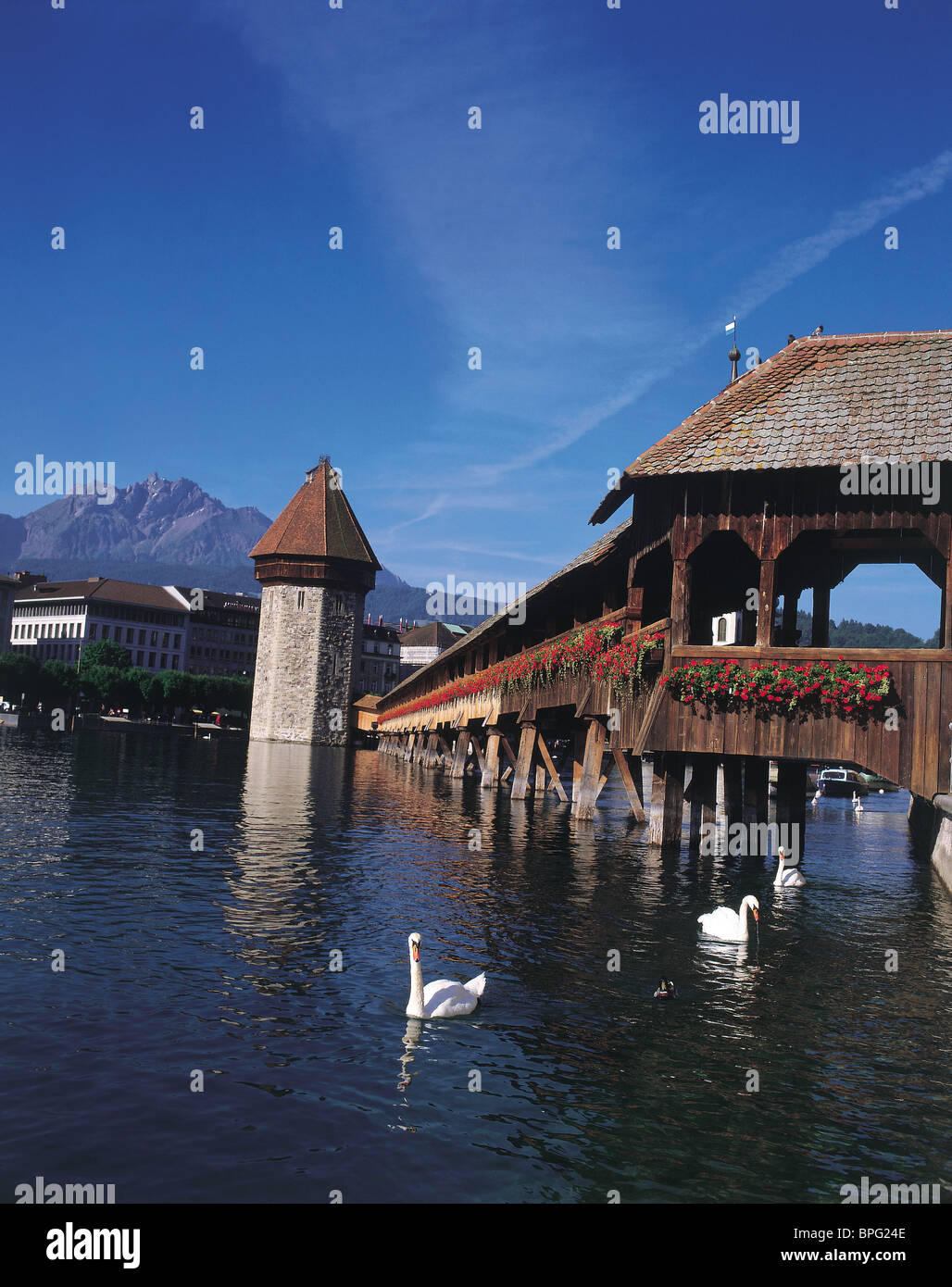 Chapel Bridge, Lucerne, Switzerland Stock Photo - Alamy