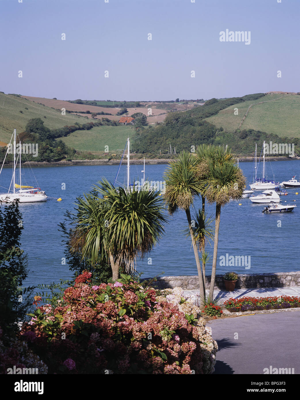 Kingsbridge Estuary, Devon, England Stock Photo - Alamy