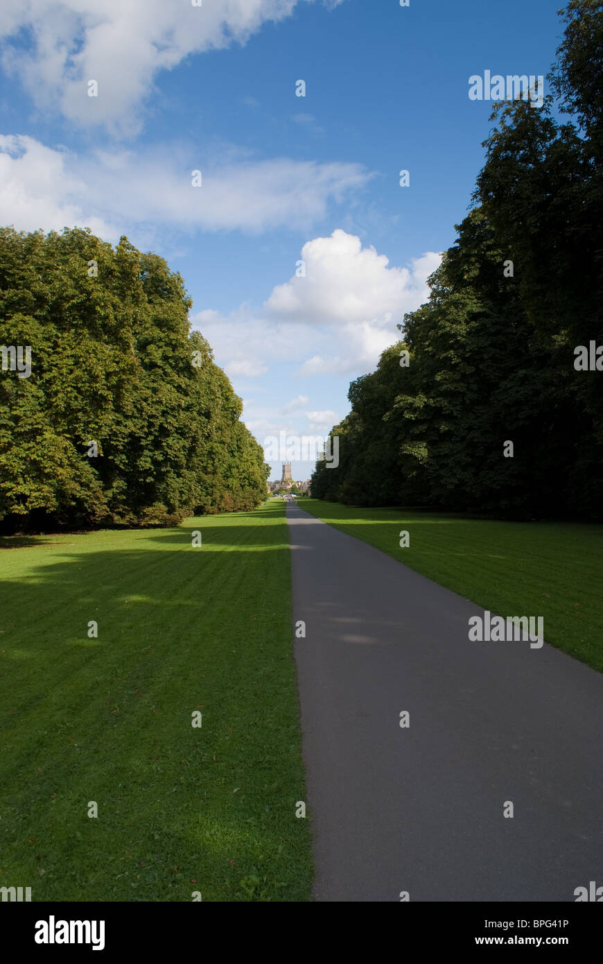 Grassy path in summer Stock Photo - Alamy