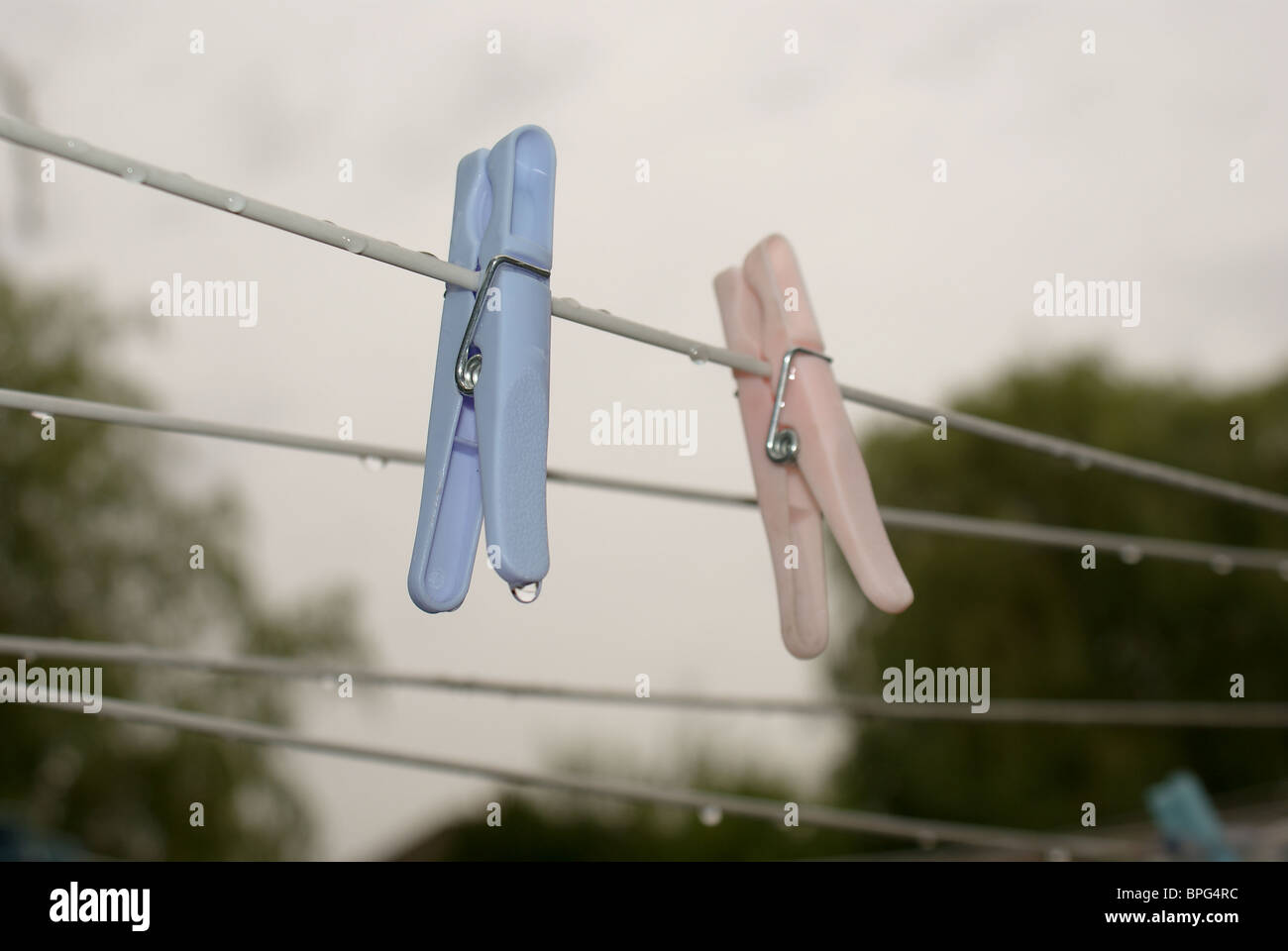 pegs on a washing line Stock Photo - Alamy