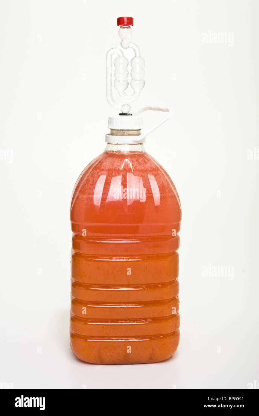 Wine fermenting air lock hi-res stock photography and images - Alamy