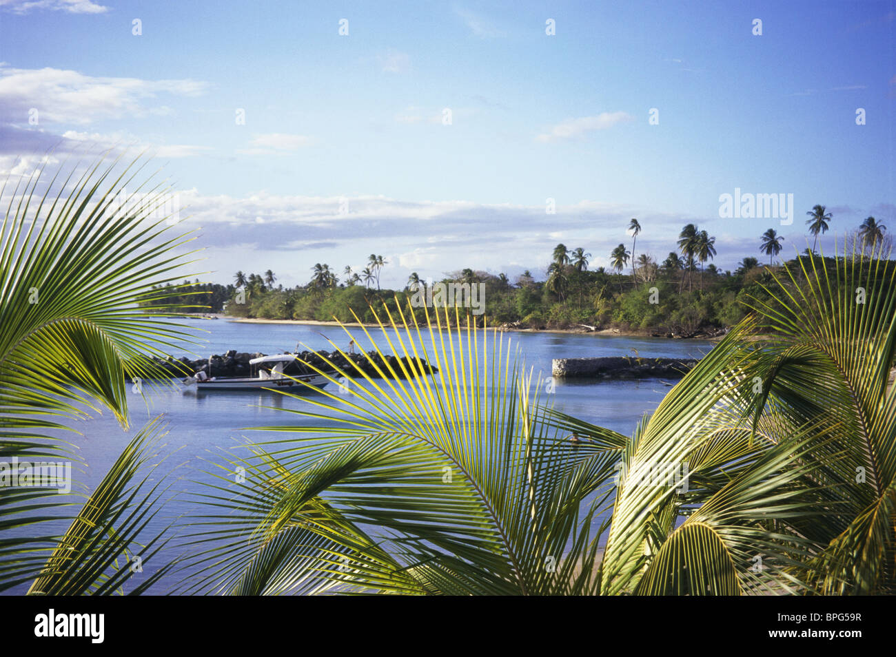 Coco reef tobago hi-res stock photography and images - Alamy