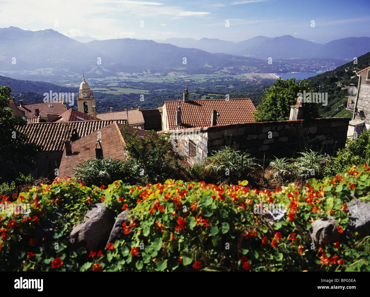 Olmeto hi-res stock photography and images - Alamy