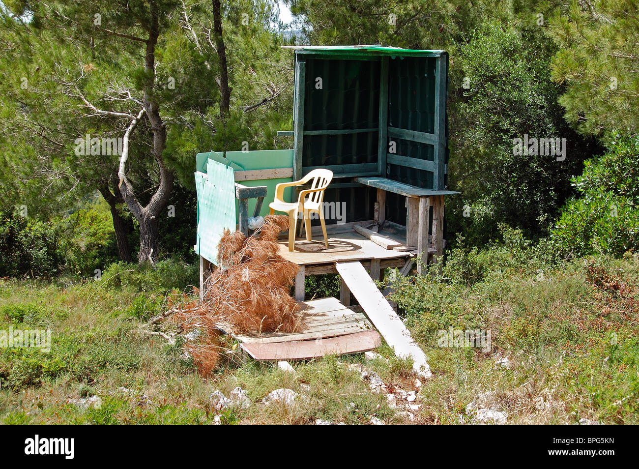 Elevated bird hunting blind in a forest Stock Photo - Alamy