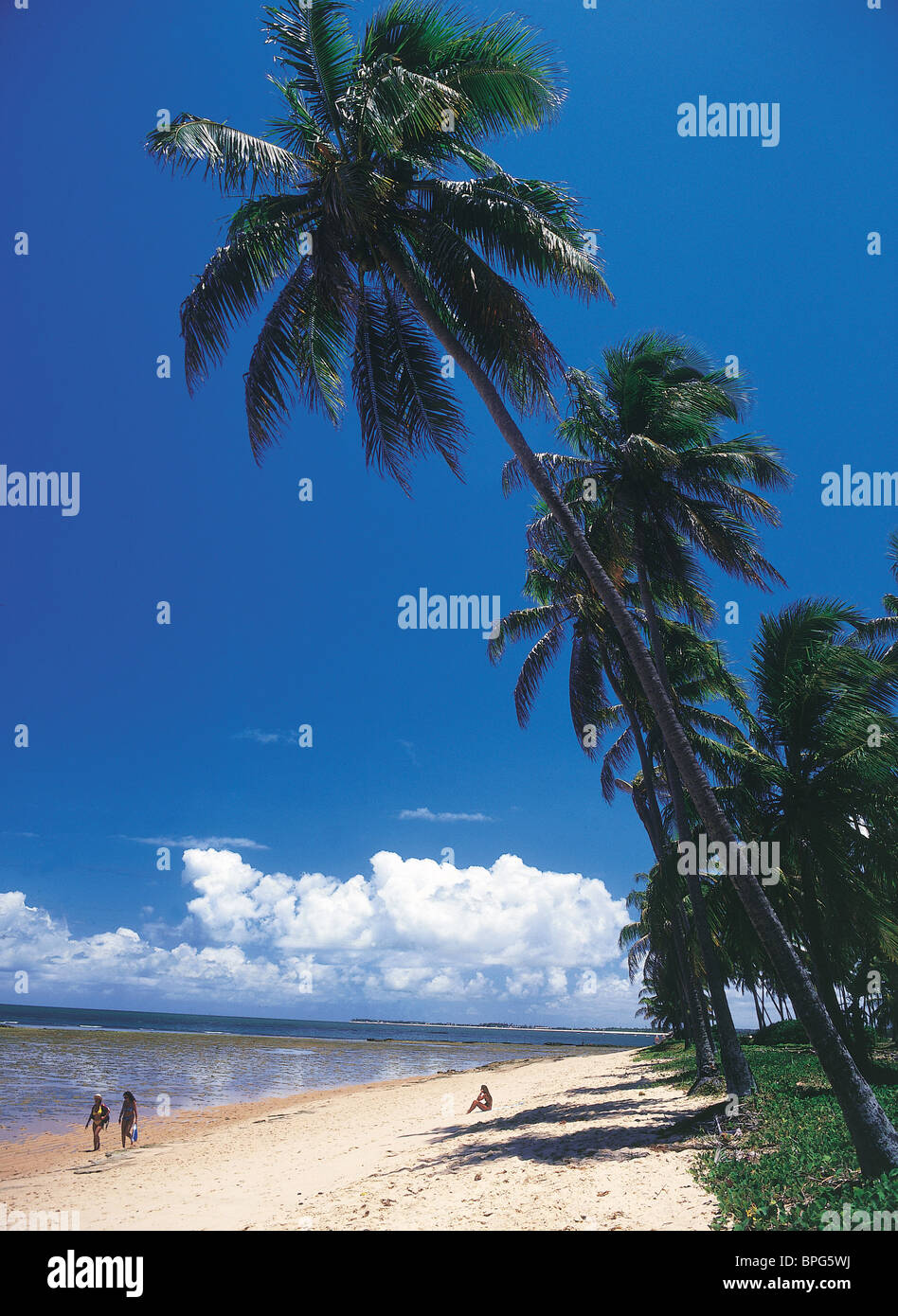 Praia do Forte, Brazil Stock Photo - Alamy