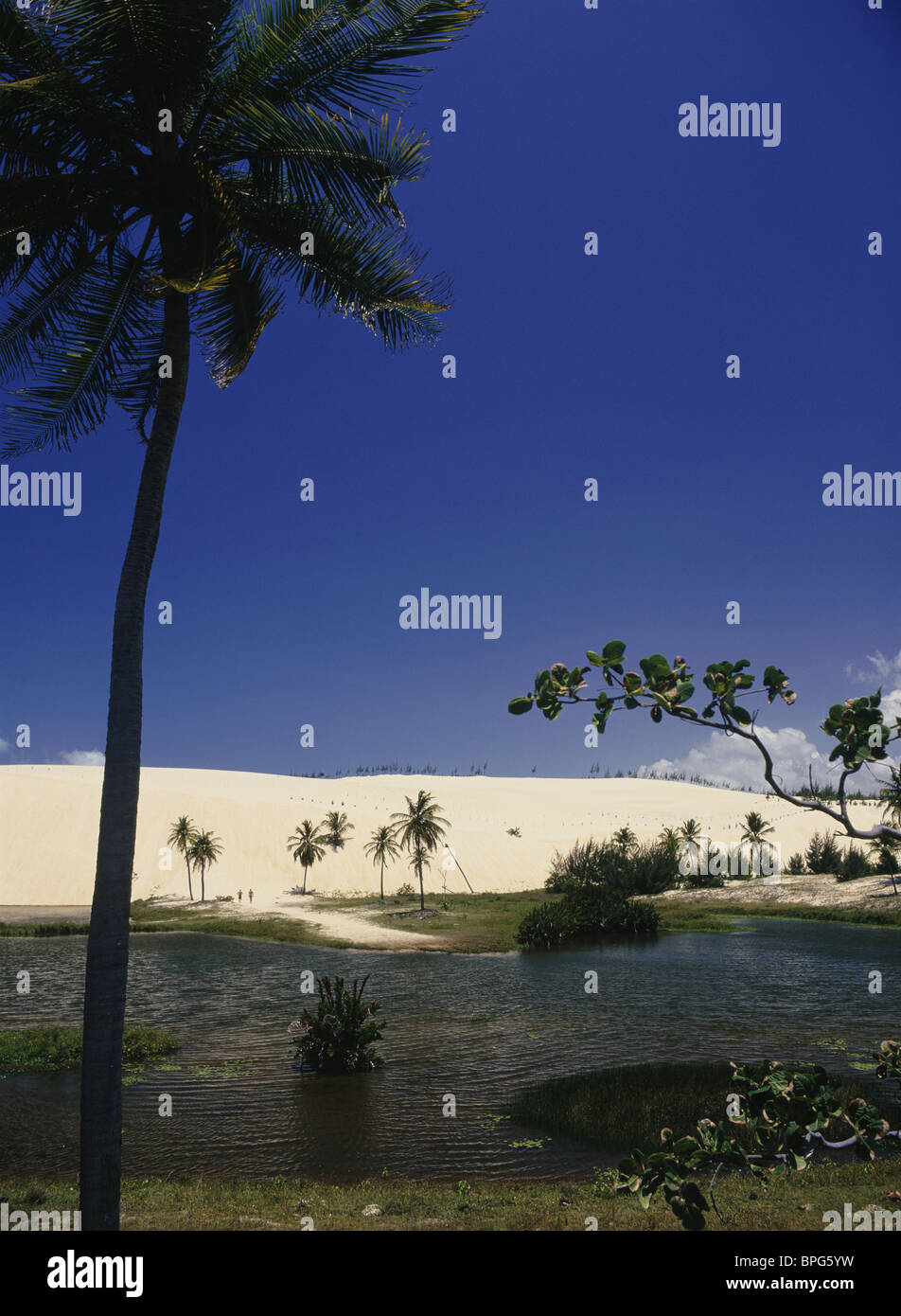 Fortaleza, Ceara State, Brazil Stock Photo - Alamy
