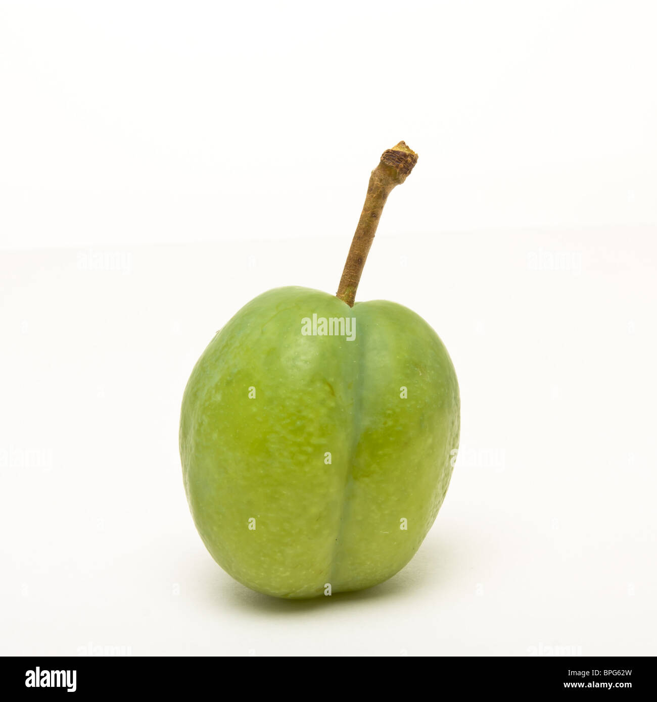 Green Plum from low perspective isolated against white Stock Photo - Alamy