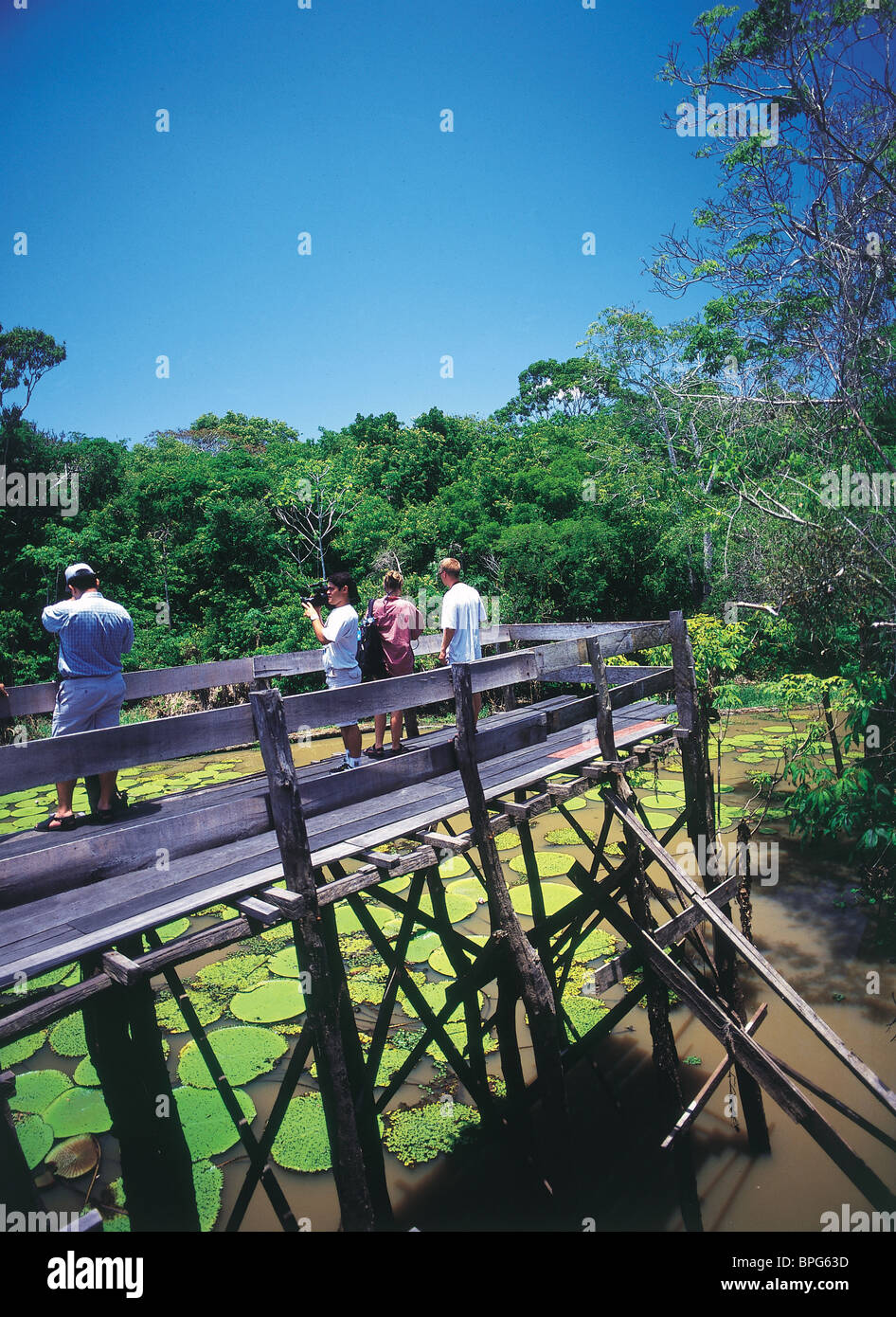 River Amazon, Amazonia State, Brazil Stock Photo - Alamy