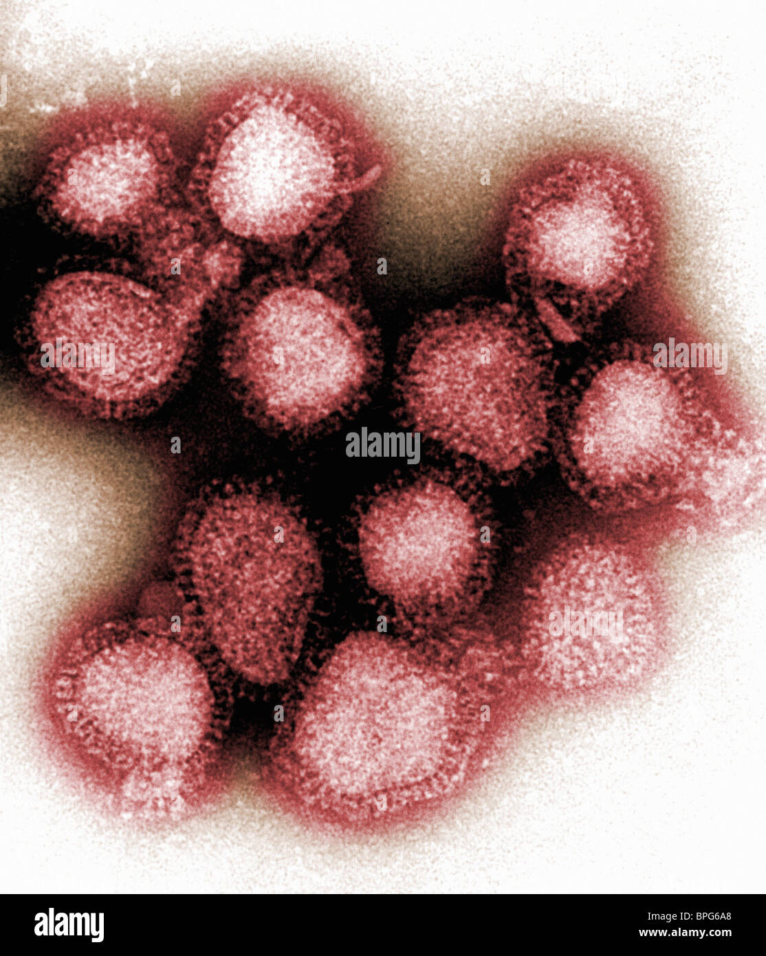 Transmission electron microscopy hi-res stock photography and images ...