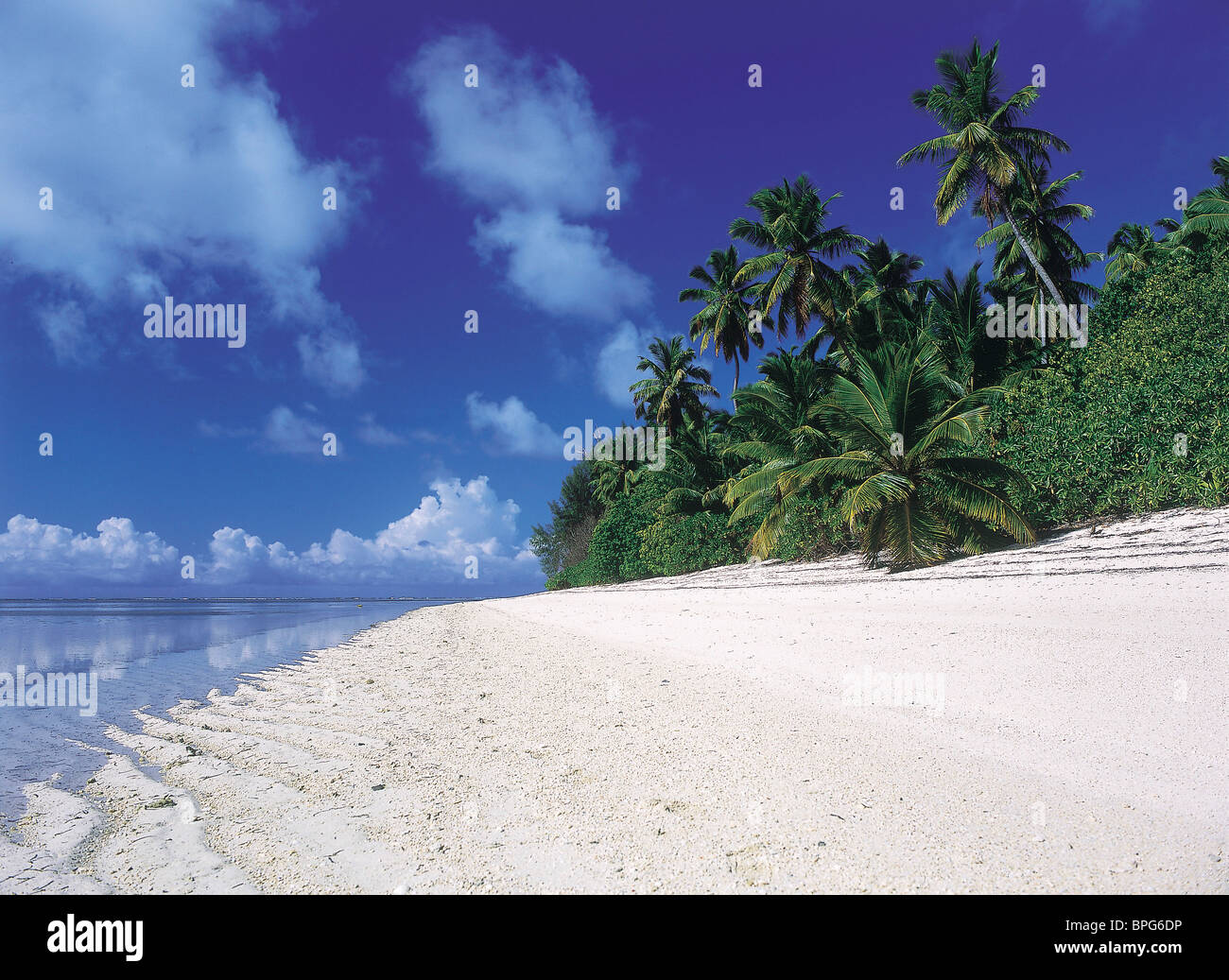 Alphonse Island, Seychelles Stock Photo - Alamy