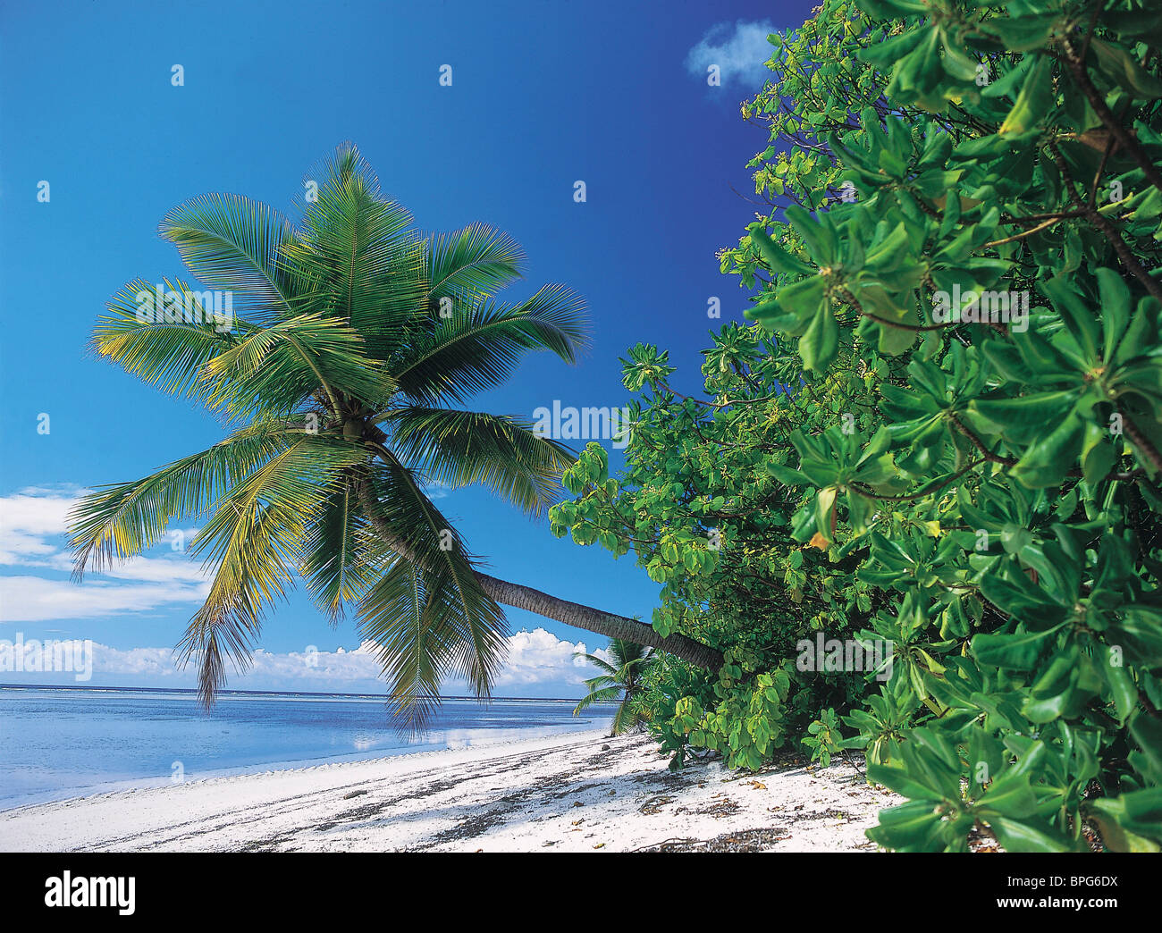 Alphonse Island, Seychelles Stock Photo - Alamy