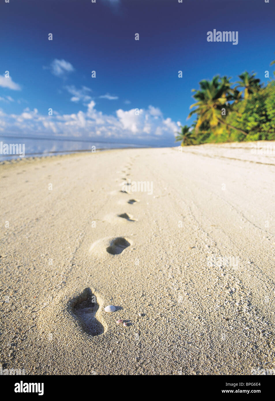 Alphonse Island, Seychelles Stock Photo - Alamy