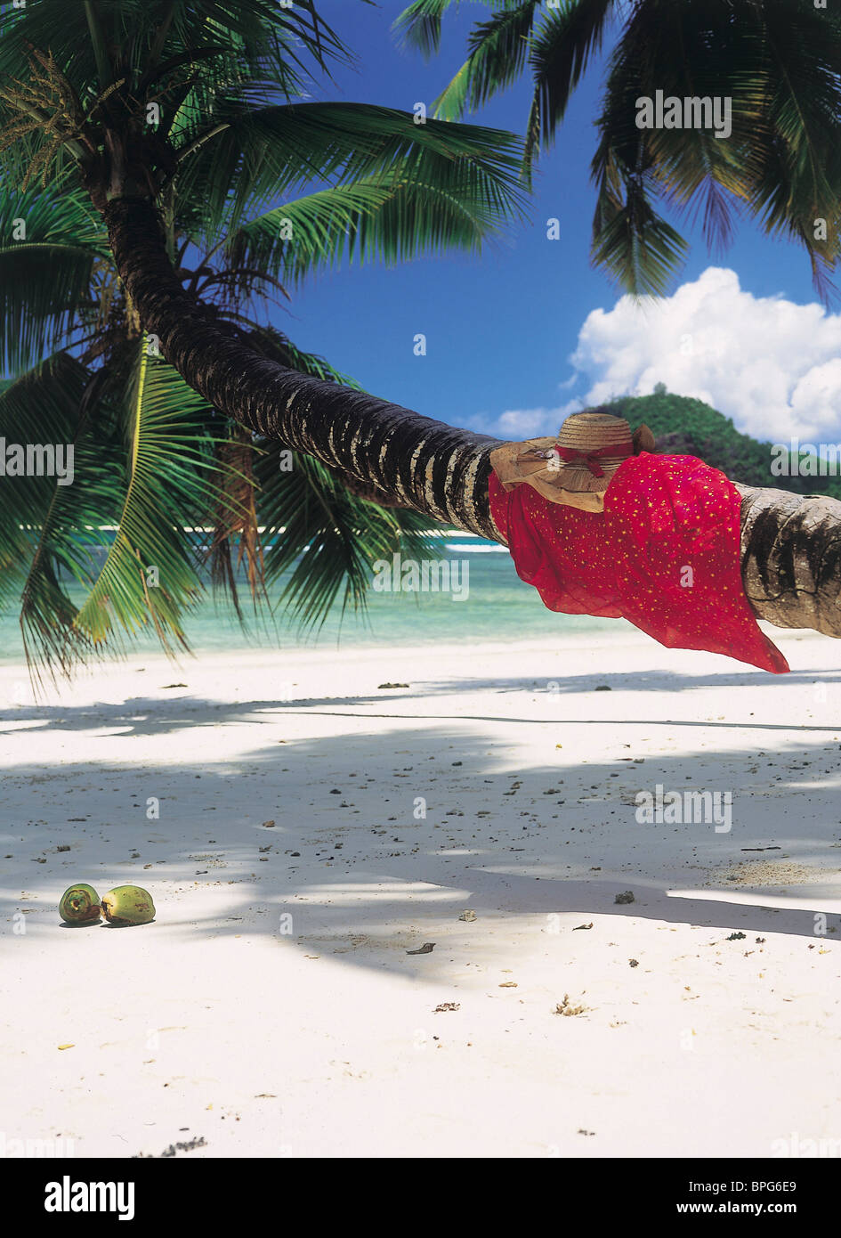 Alphonse Island, Seychelles Stock Photo - Alamy