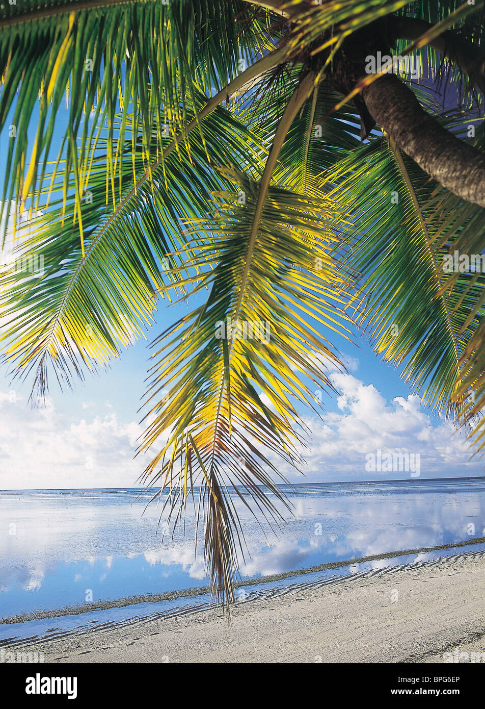 Alphonse Island, Seychelles Stock Photo - Alamy