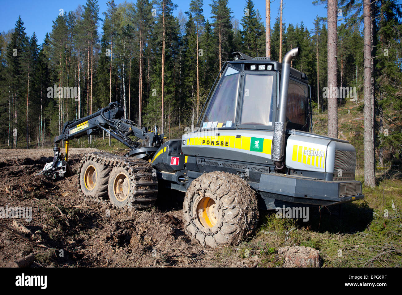 Ponsse Beaver forest harvester forestry vehicle at clear-cutting area ...