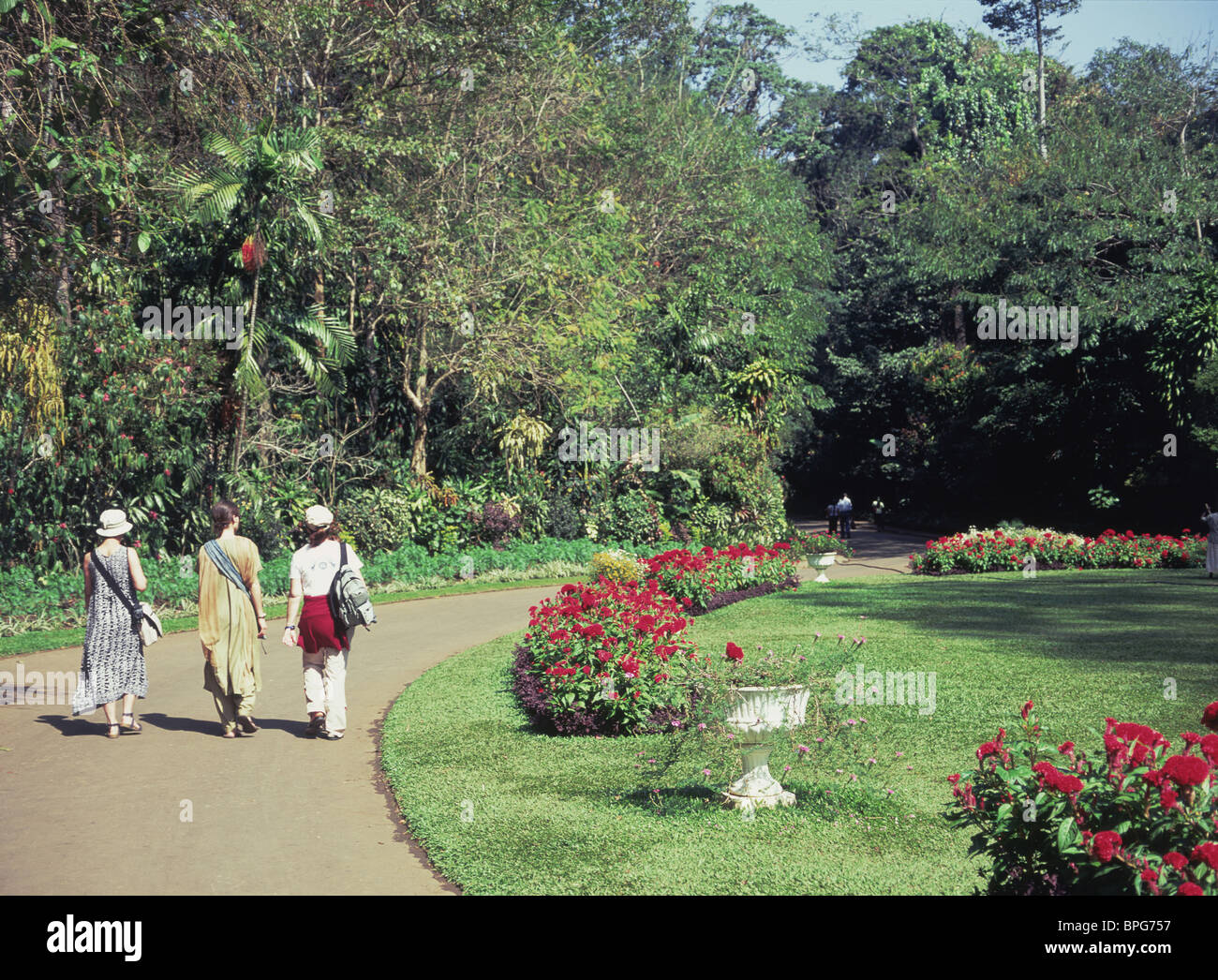 Botanical Gardens, Kandy, Sri Lanka Stock Photo - Alamy