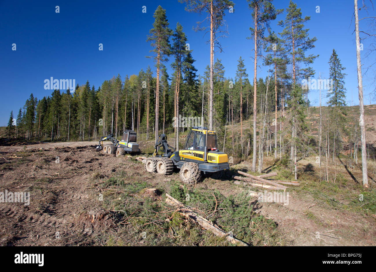 Ponsse Buffalo forwarder and Buffalo forest harvester at clear-cutting ...
