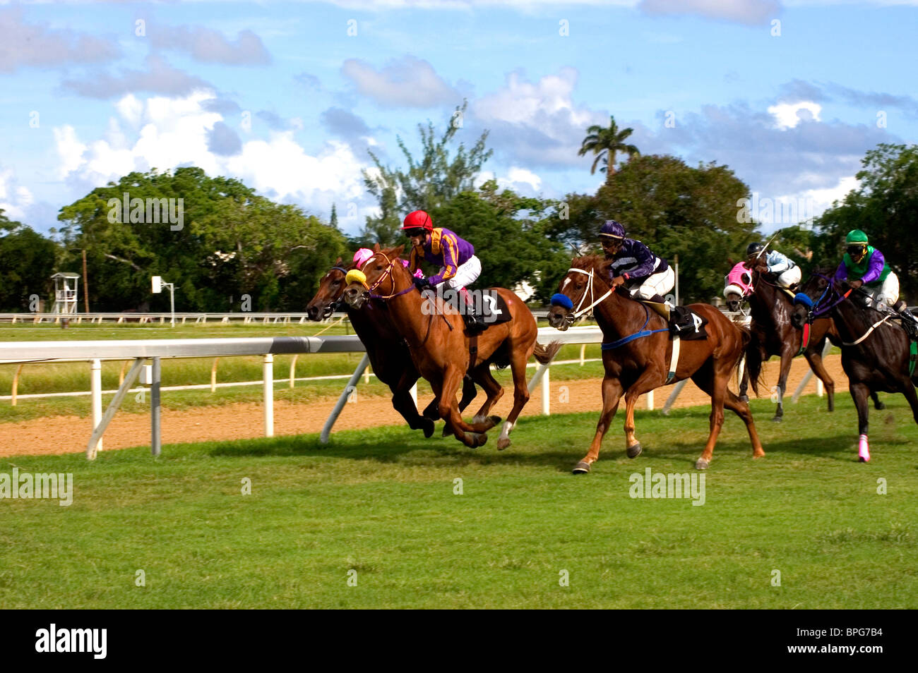 Barbados racing hi-res stock photography and images - Alamy