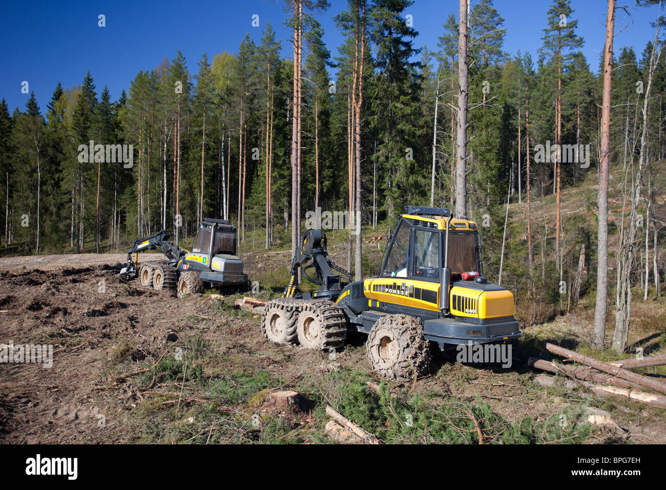 Harvester cutting tree hi-res stock photography and images - Alamy