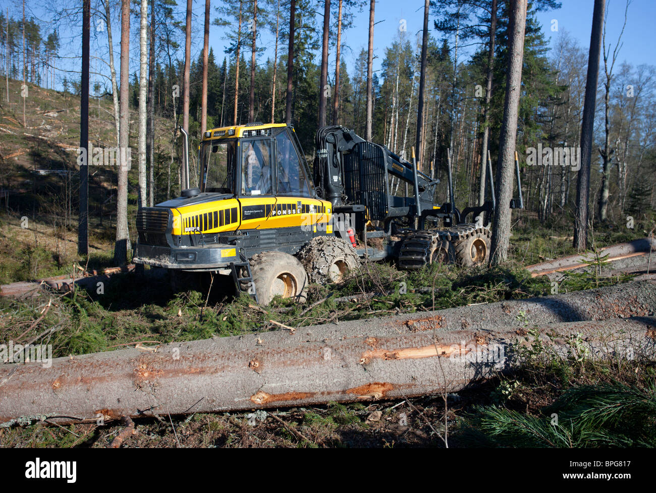 Ponsse Buffalo forwarder forestry vehicle at clear-cutting area and ...
