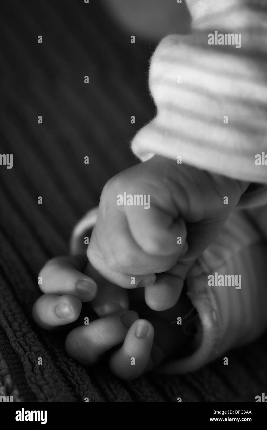 Two weeks old baby hands Stock Photo - Alamy