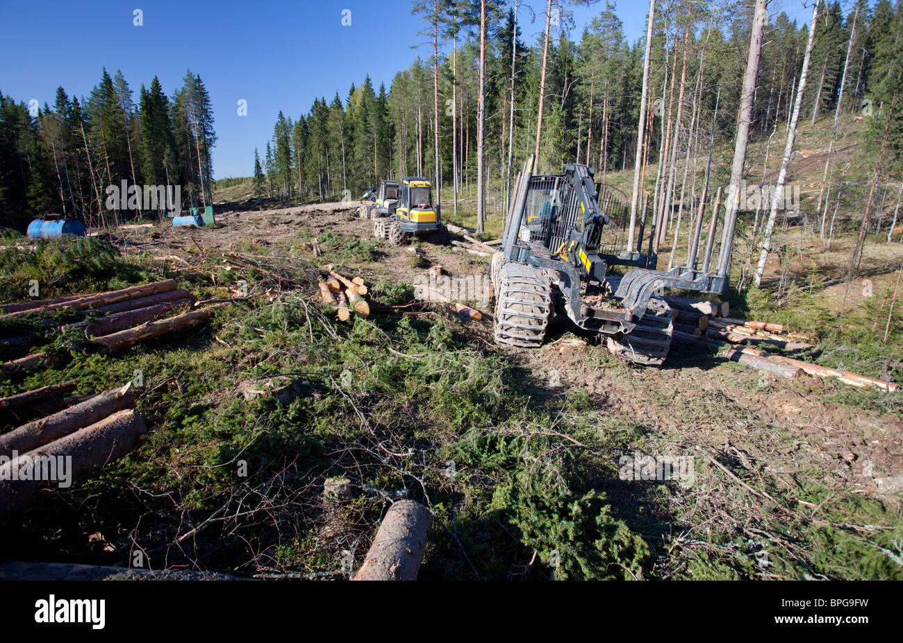 Log processing machines hi-res stock photography and images - Alamy
