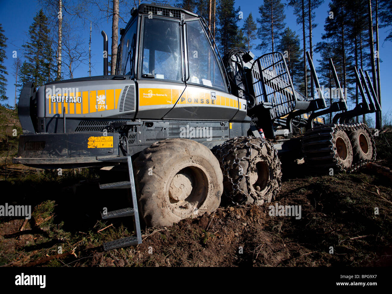 Ponsse Buffalo forest forwarder at clear-cutting area , Finland Stock ...