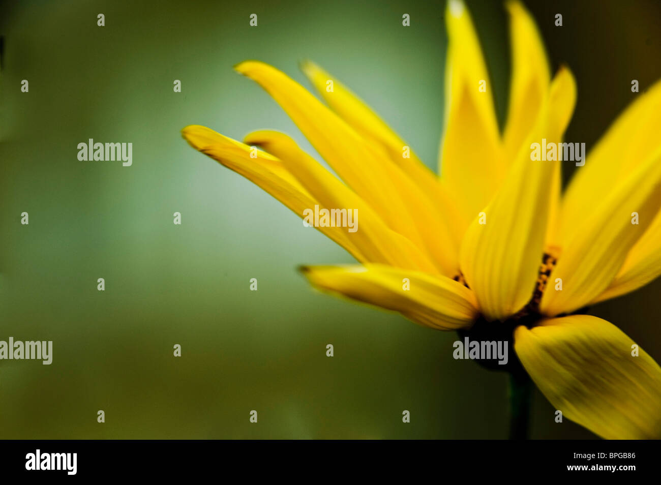 Color theory hi-res stock photography and images - Alamy